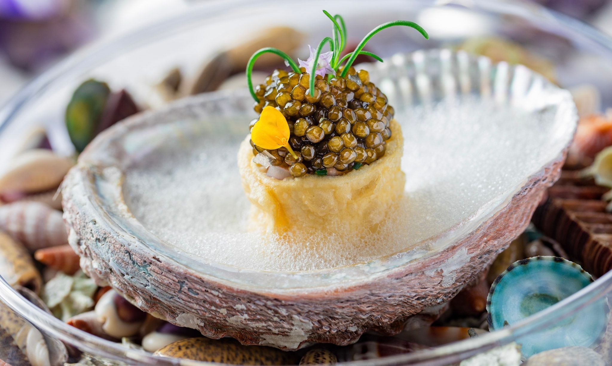 Gourmet Caviar for Sale | Buy Caviar Online | All Fresh Seafood