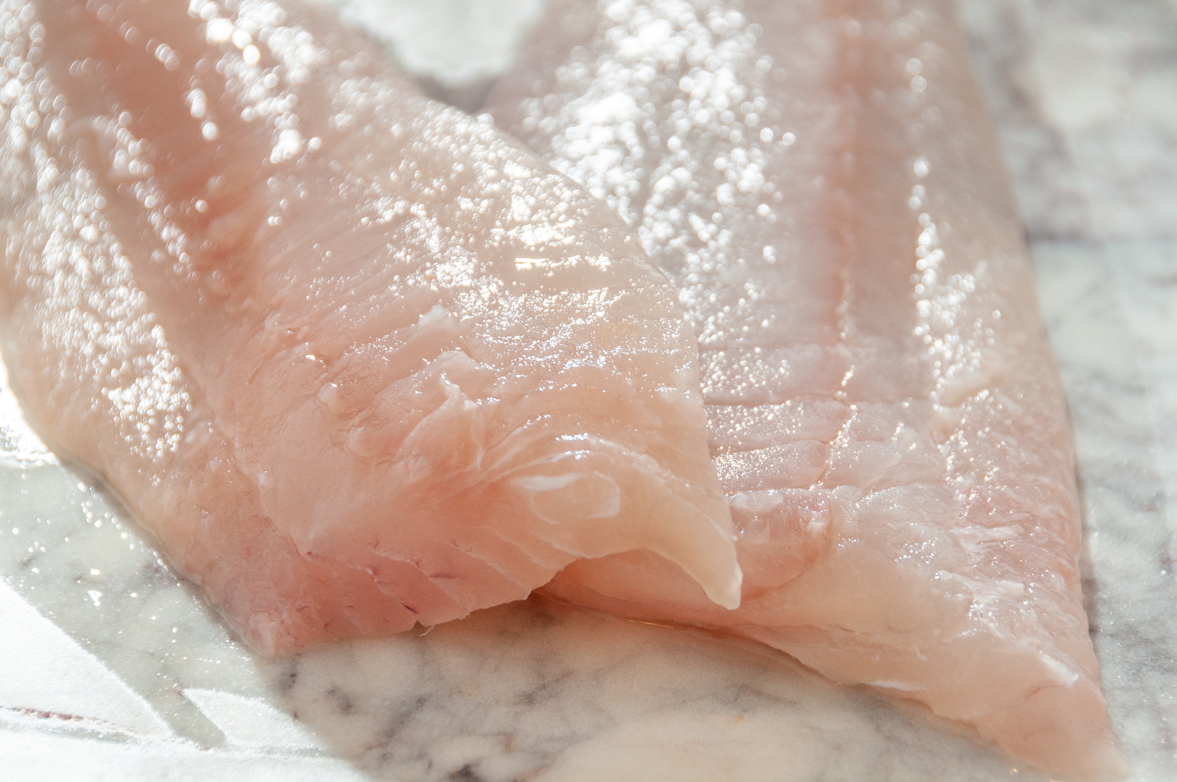 Sushi Fluke, Fillet, Fresh, Wild Caught. 1 Lb. - All Fresh Seafood