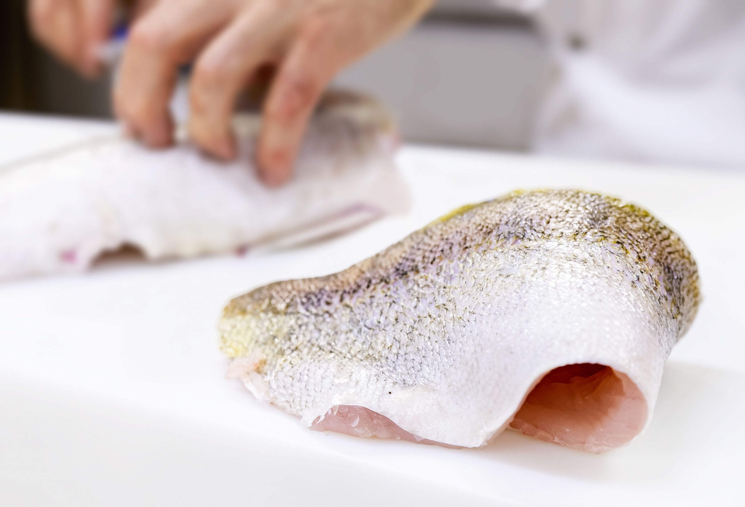 Fresh Seafood Online Ordering USA - Fresh Fish, Lobster, & Dumplings