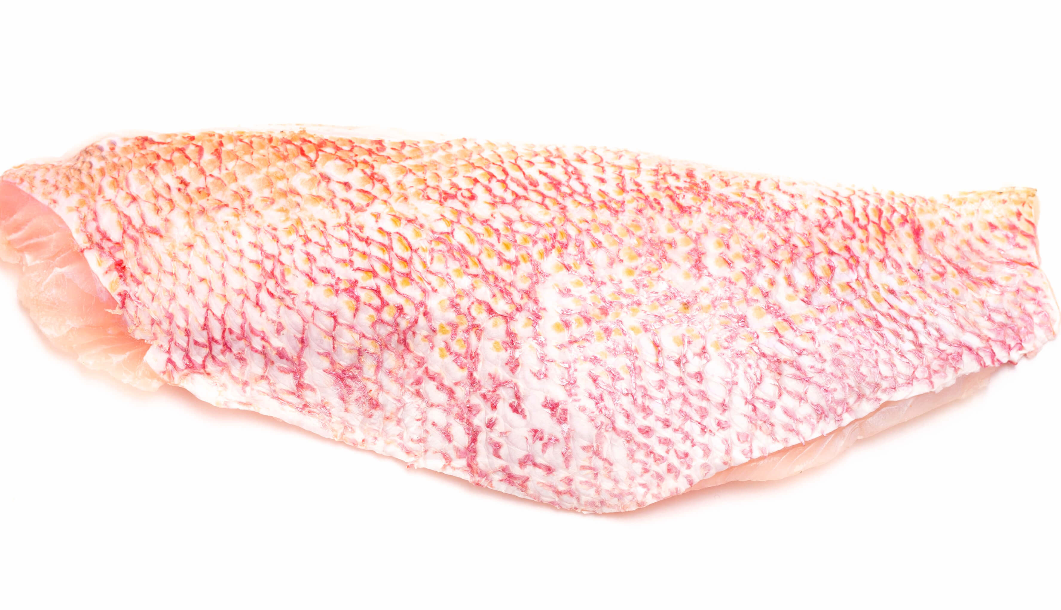 Fresh Red Snapper Fillet for Sale, 1 lb | All Fresh Seafood