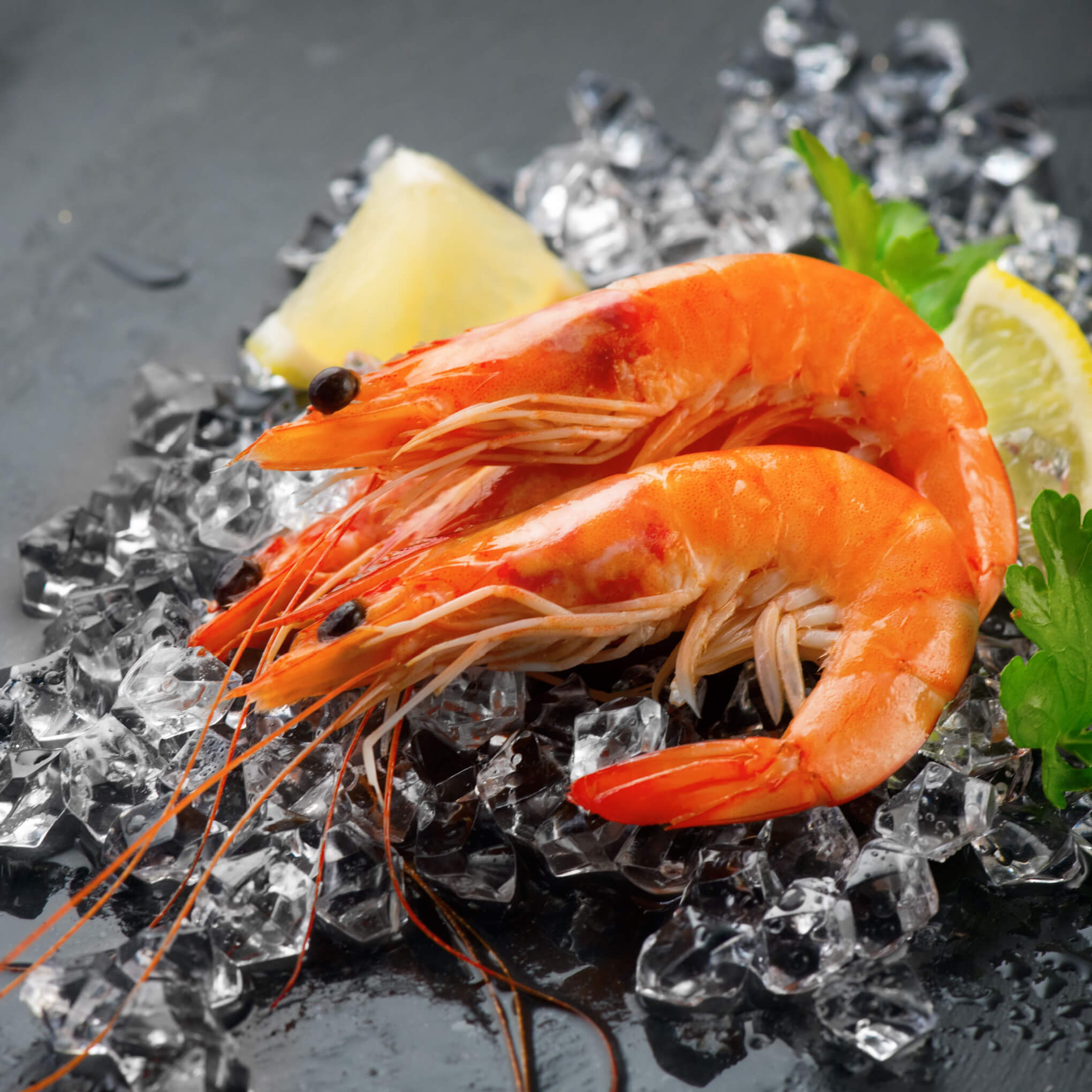 Large Prawns, Head On, U-15 Ct. Chem Free | All Fresh Seafood
