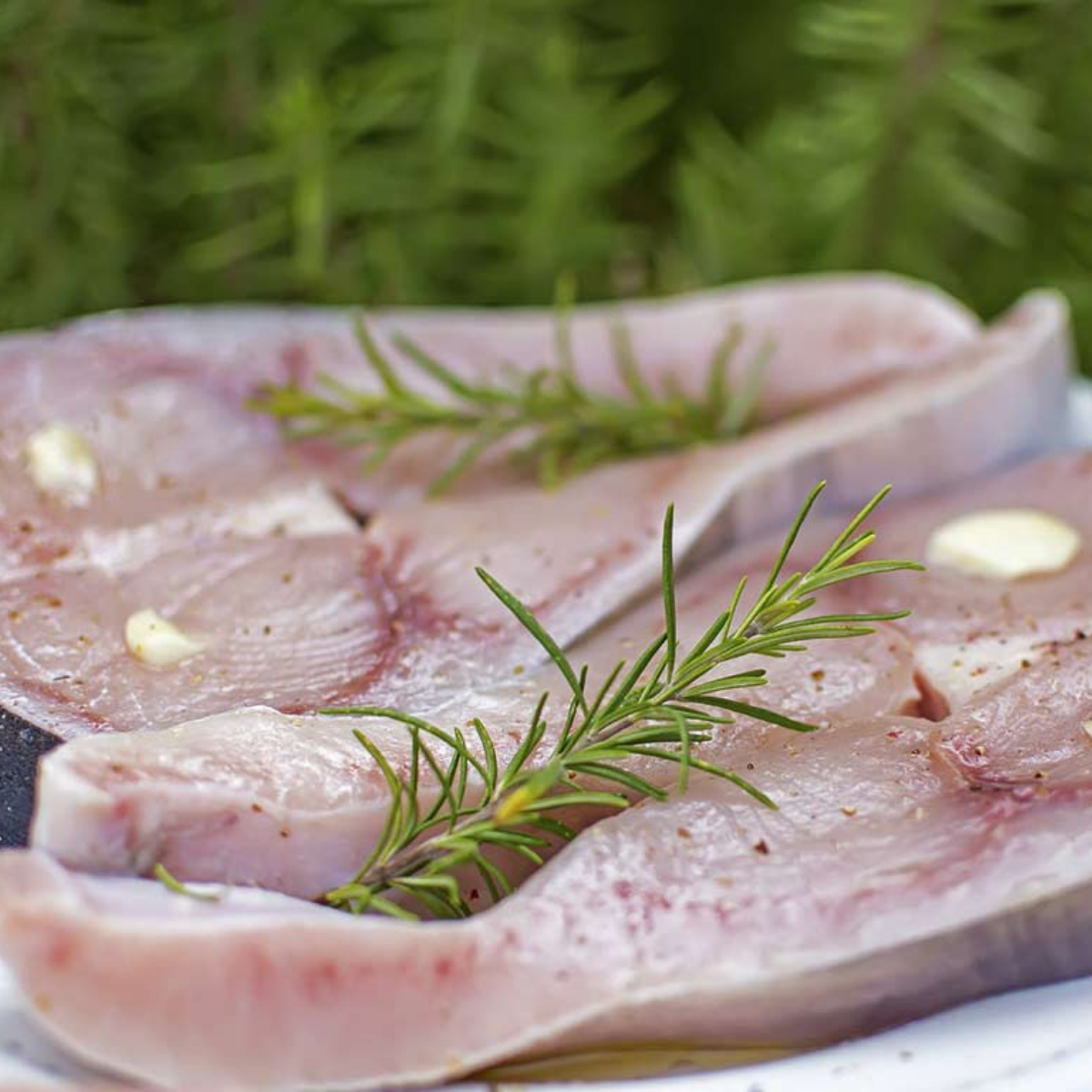 Buy Fresh Fish Fillets Online - Raw Swordfish Steak & More – Page 2