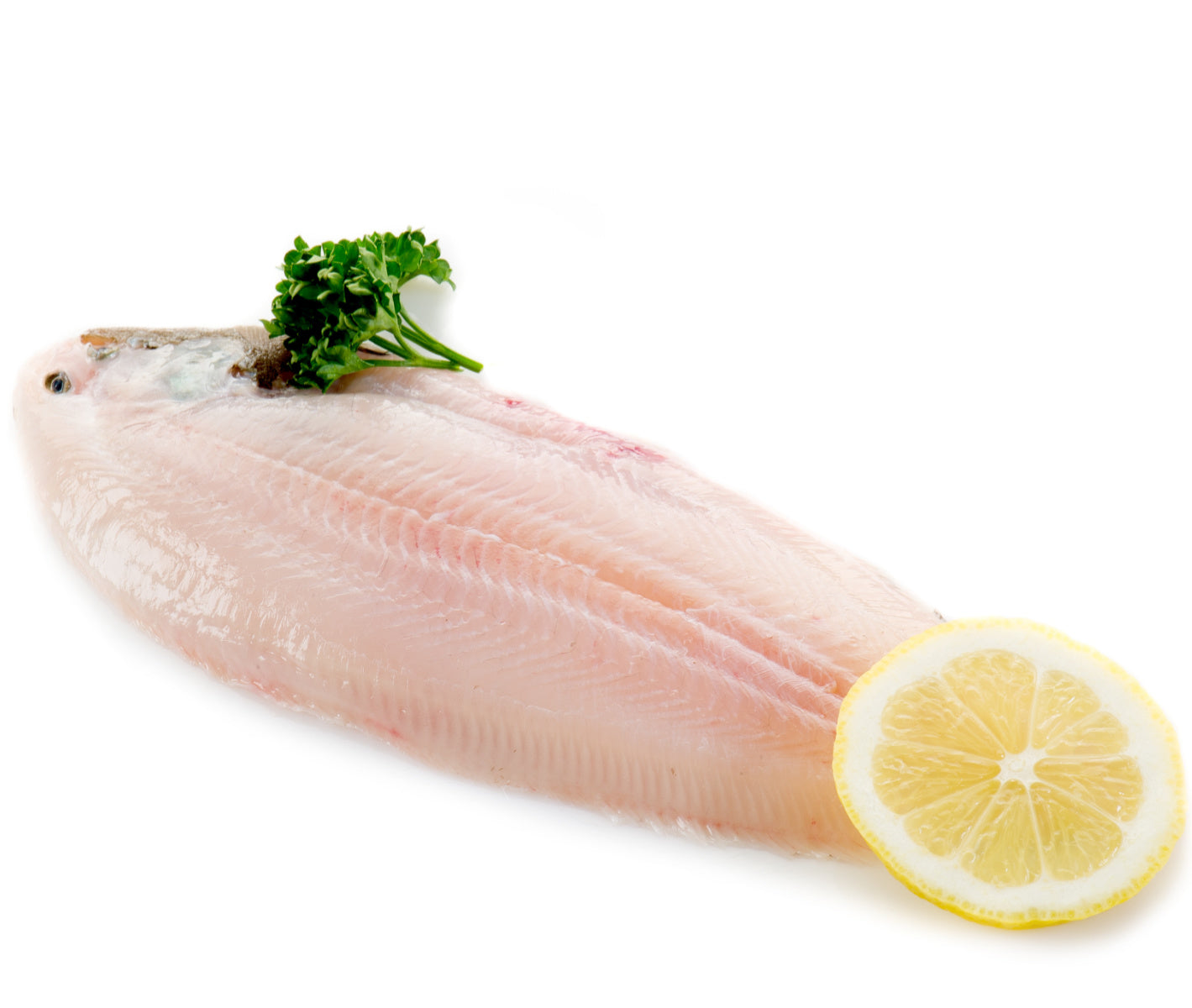 Grey Sole Fish - Fresh Fillet - All Fresh Seafood