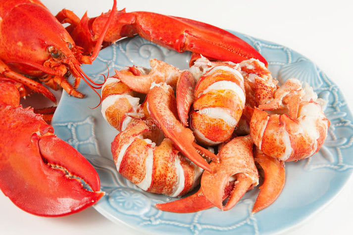 Fresh Maine Lobster Meat, 1 lb | Buy Fresh Lobster Online